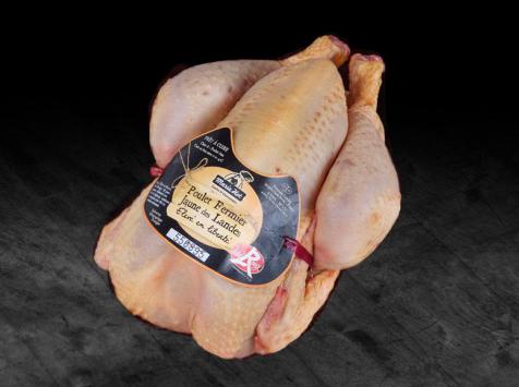 Comment choisir un poulet fermier