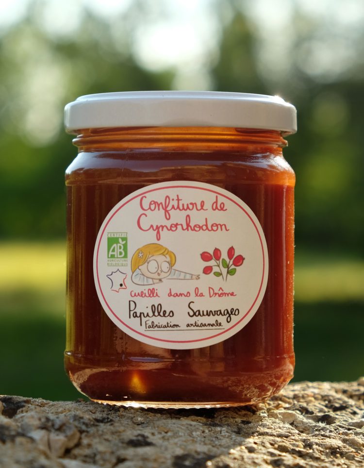 Qu'est-ce que le cynorhodon