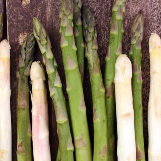 Comment faire cuire des asperges