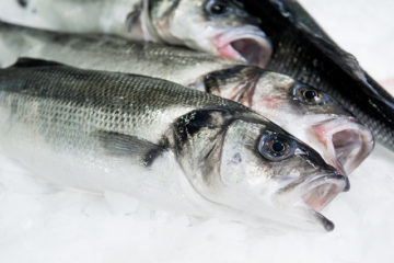 Comment cuisiner le (poisson) bar