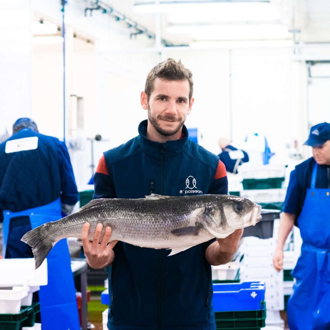 Tout savoir sur le bar sauvage