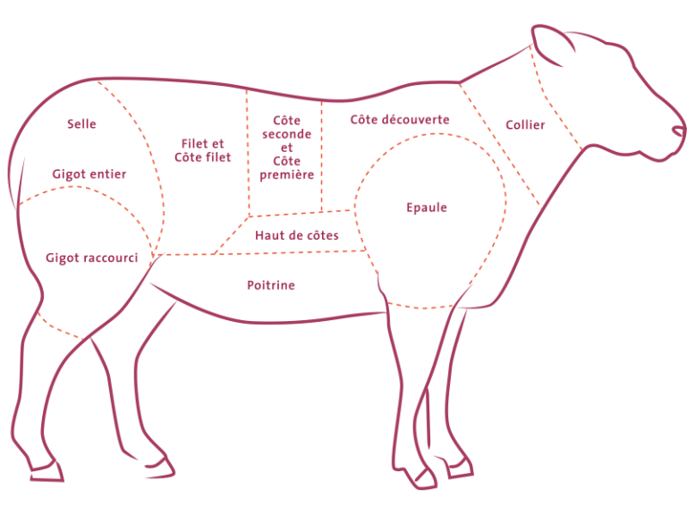Les meilleurs morceaux d'agneau en cuisine