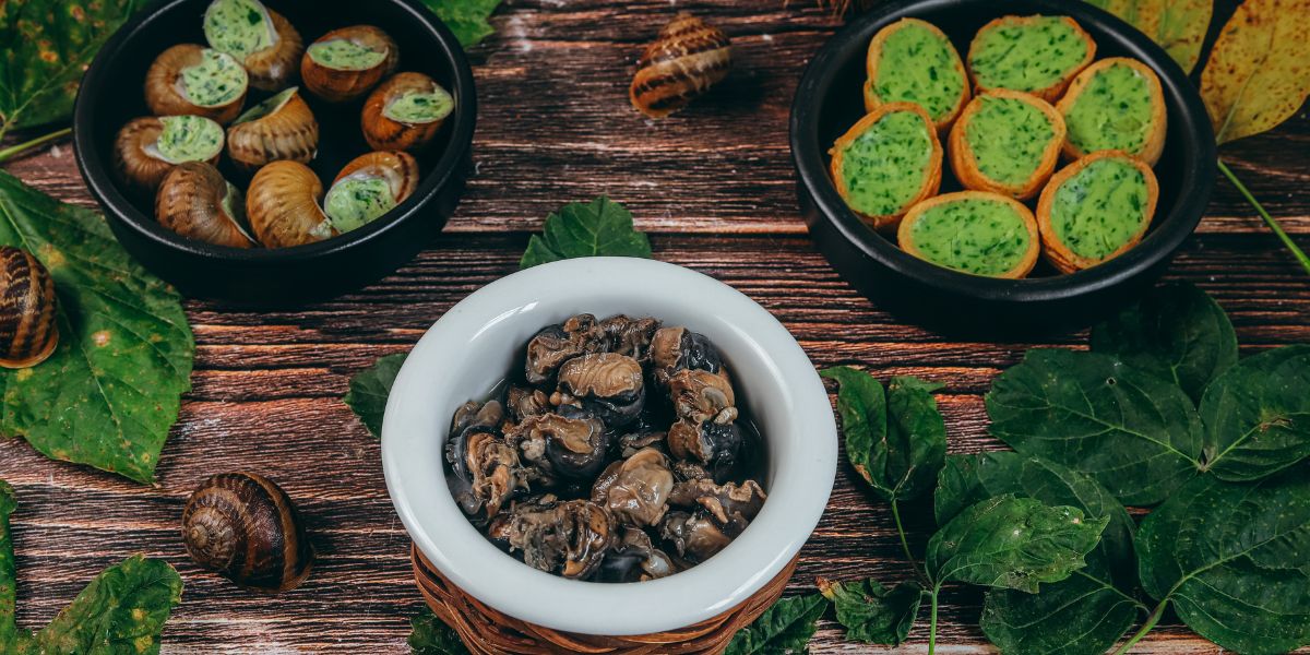 Comment cuisiner les escargots