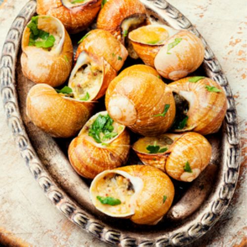 Comment cuisiner les escargots