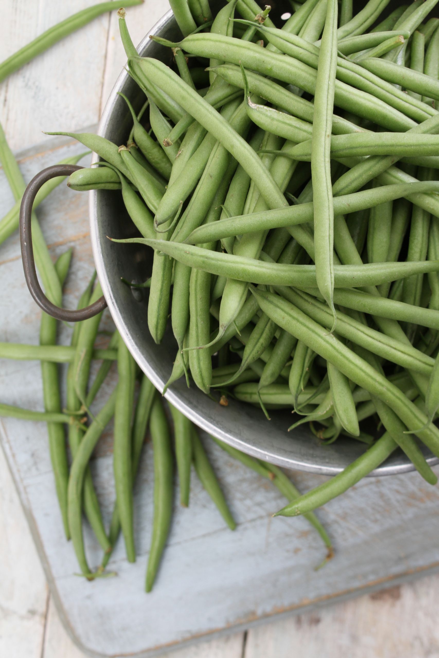 Tout savoir sur les haricots verts - Blog de Pourdebon.com