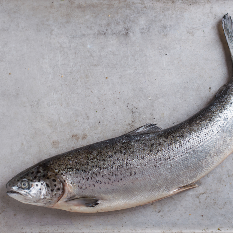 Saumon sauvage ou d'élevage, lequel choisir