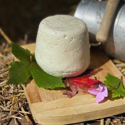 Aligot de l'Aubrac, une recette traditionnelle - Blog