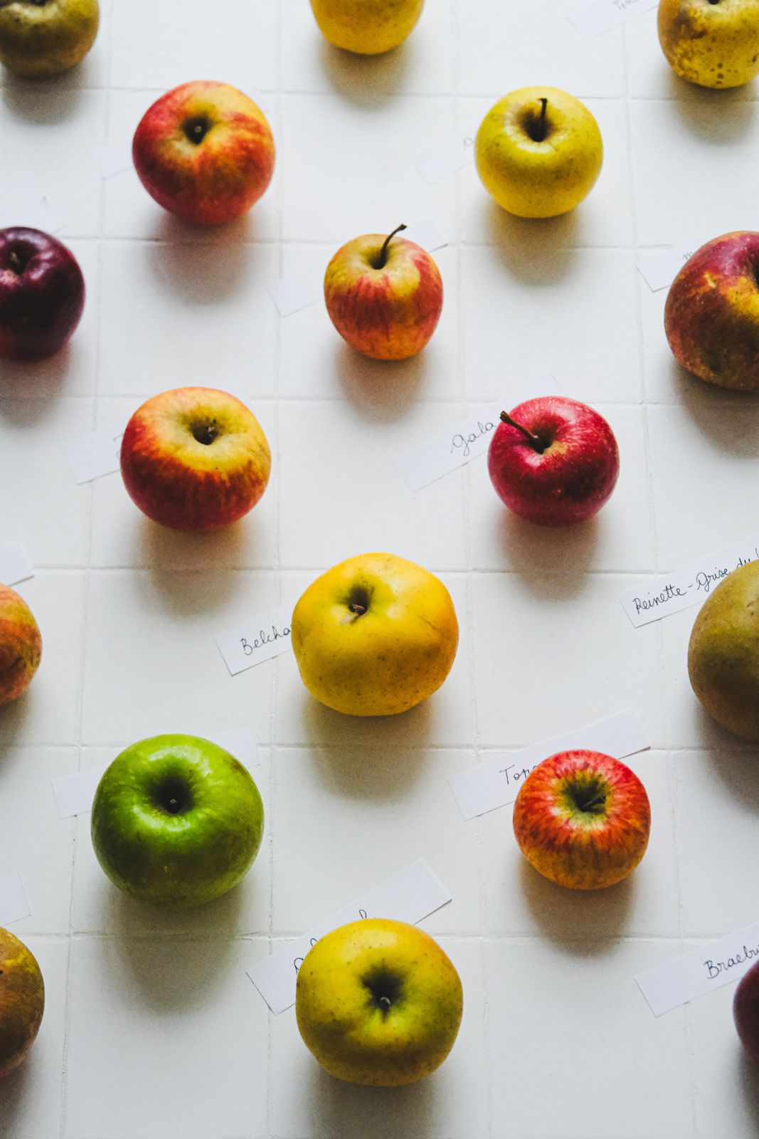Quelle variété de pommes pour quelle recette ? - Blog Pourdebon