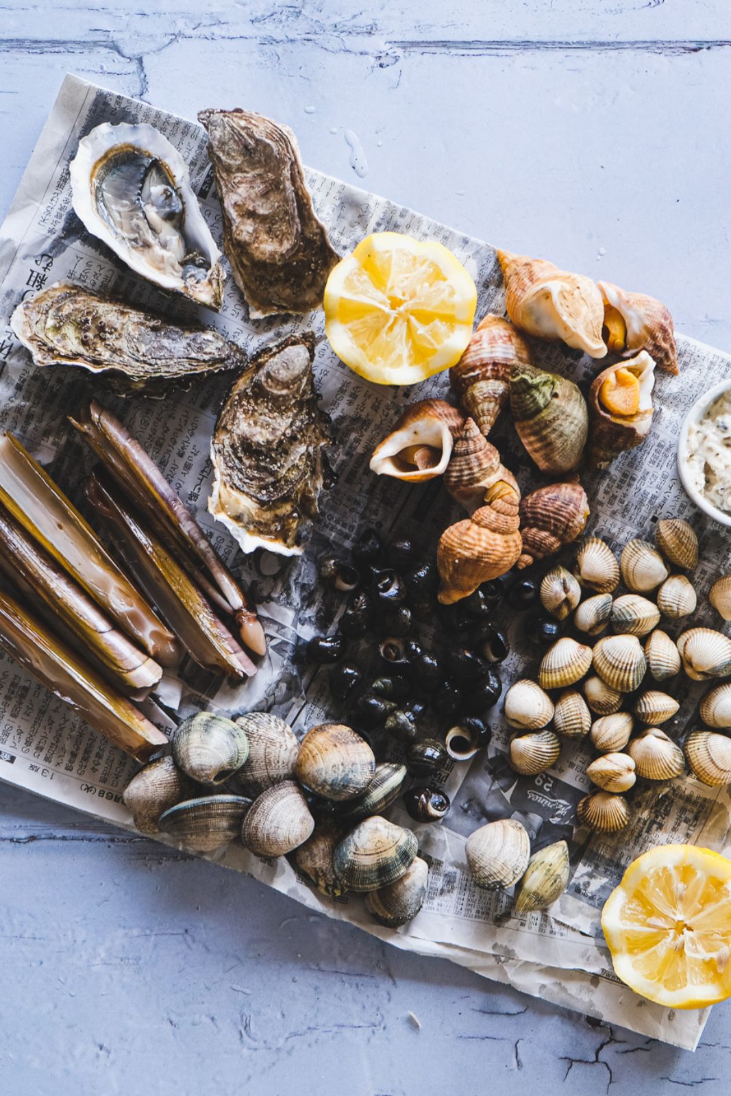 Savoir reconnaître les différents coquillages - Blog de Pourdebon