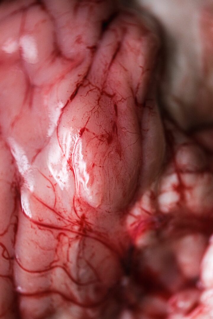 Comment préparer et cuisiner la cervelle ? - Blog de Pourdebon